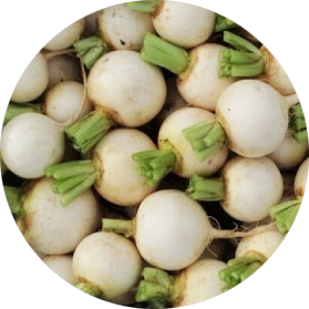 Raap zaden kopen: witte raap 'Snowball' – Kwekerij KWEEK